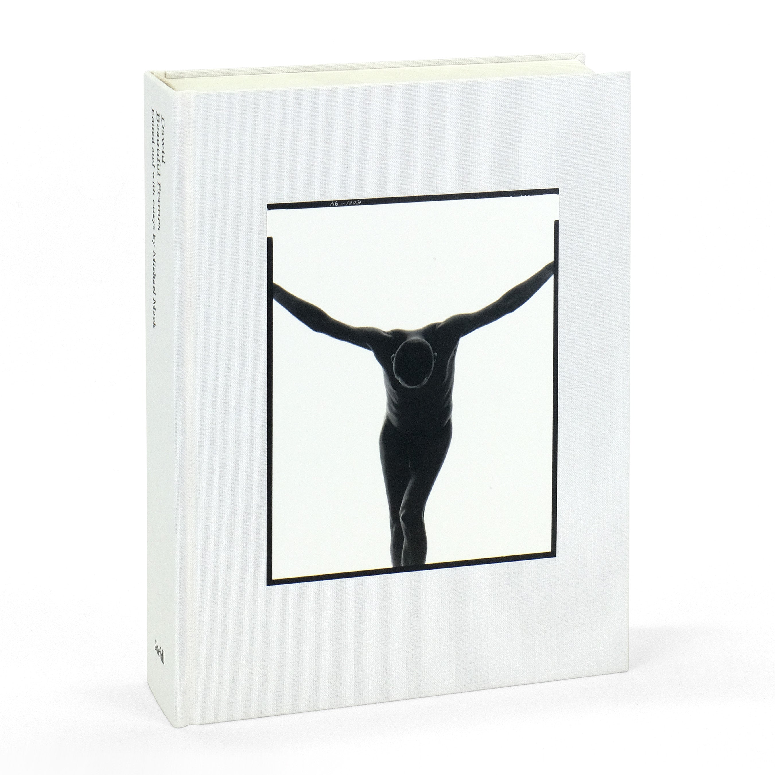 Beautiful Frames / Dawid / First Edition 2001 / Michael Mack, essay ...